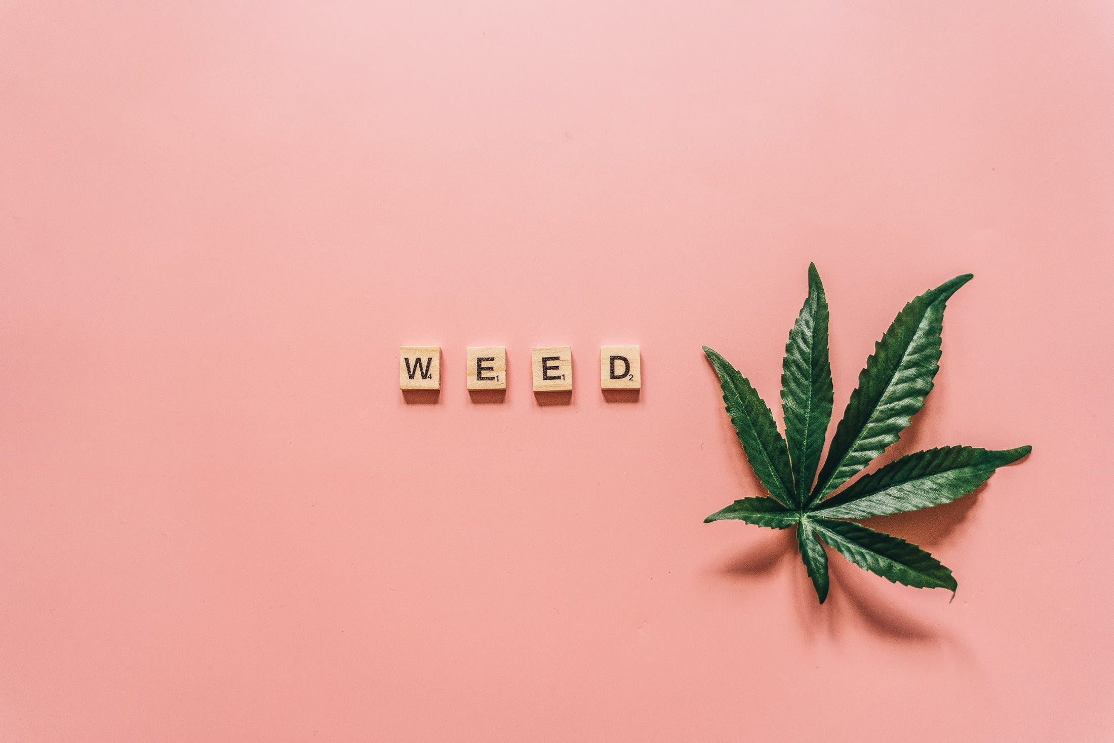 Exploring Stoner-Friendly Destinations: India's Cannabis Culture – HighJack